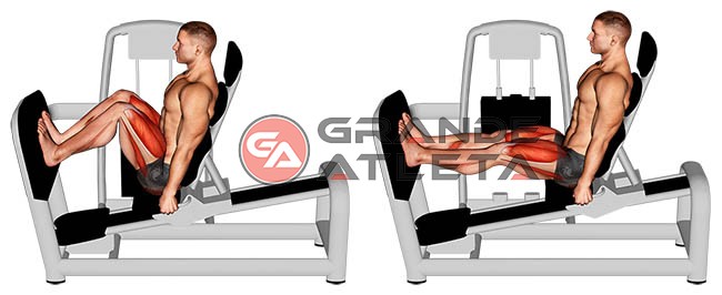 Leg Press: Como fazer corretamente e obter GRANDES RESULTADOS!