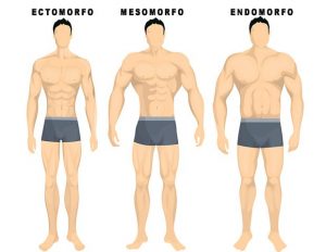 Ectomorfo - Dicas de dieta e treinos (Resultados)